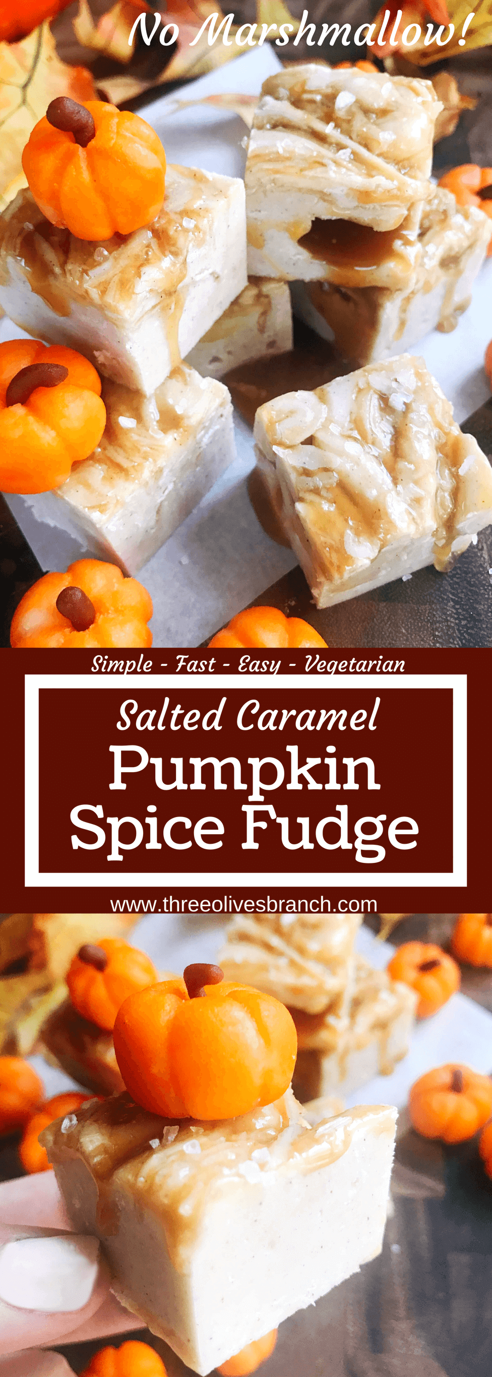 Salted Caramel Pumpkin Spice Fudge - Three Olives Branch