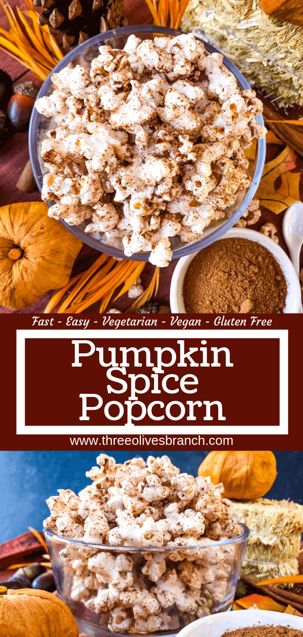 Homemade Pumpkin Spice Popcorn - Three Olives Branch