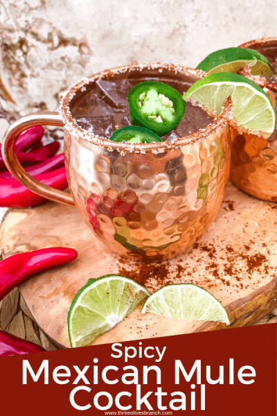 Spicy Mexican Mule Cocktail - Three Olives Branch