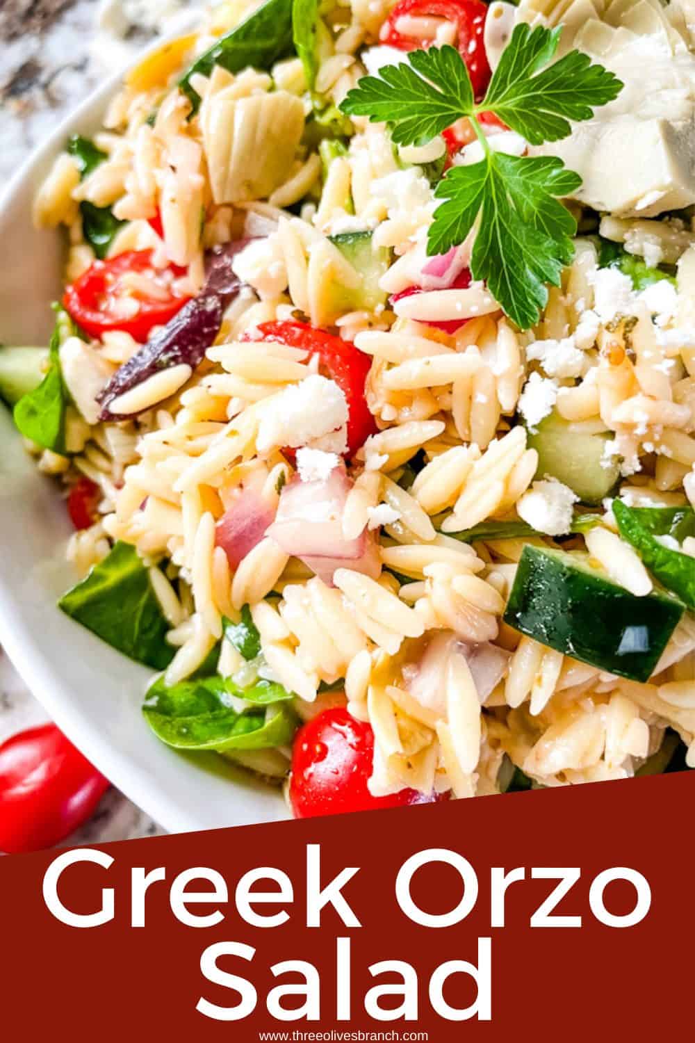 Greek Orzo Salad - Three Olives Branch