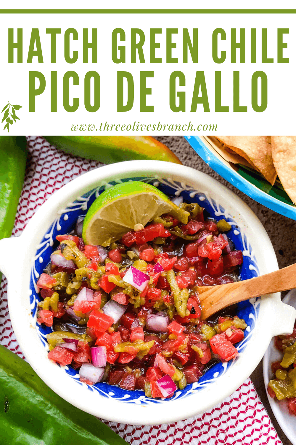 Hatch Green Chile Pico de Gallo - Three Olives Branch