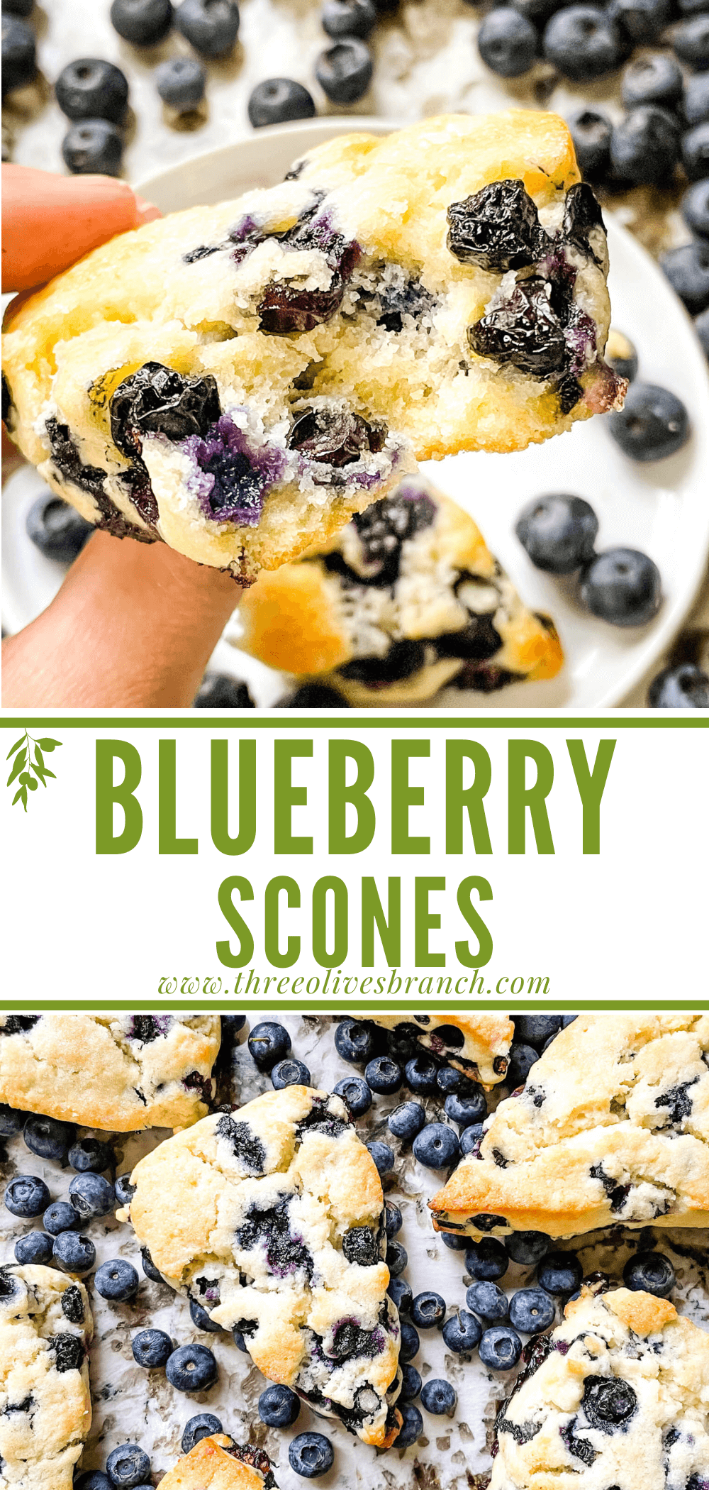 Blueberries Scones Recipe - Three Olives Branch