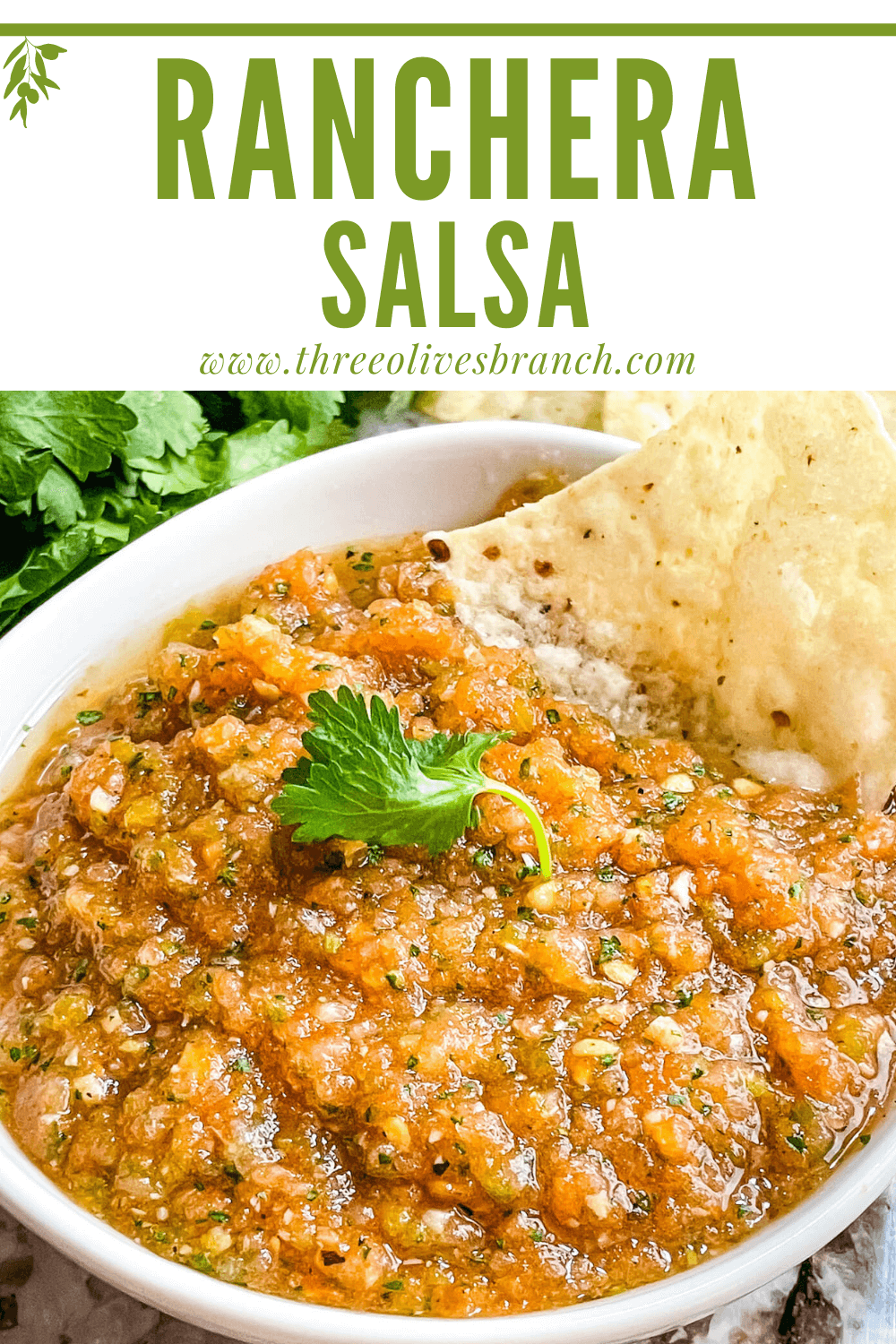 Ranchera Salsa - Three Olives Branch