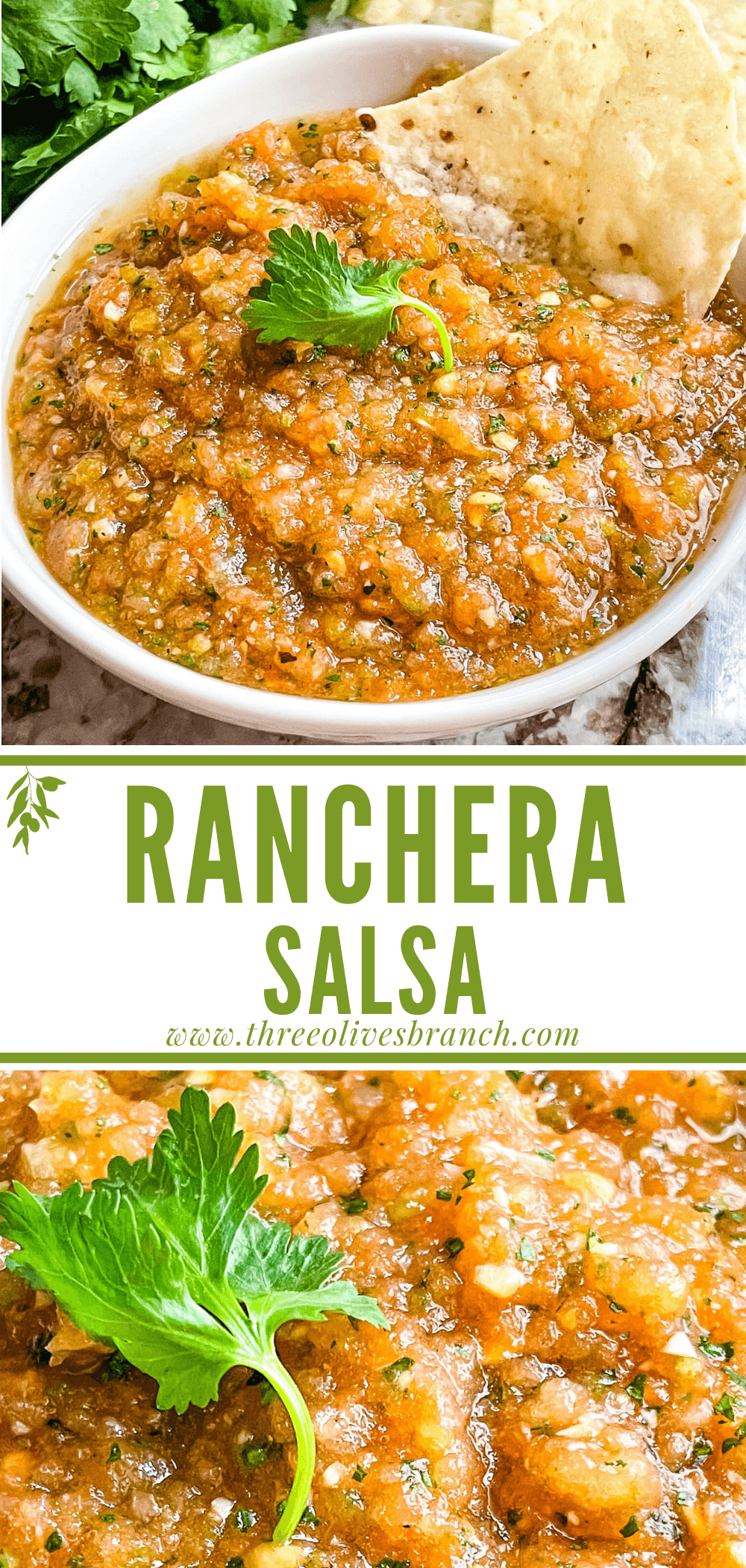 Ranchera Salsa - Three Olives Branch