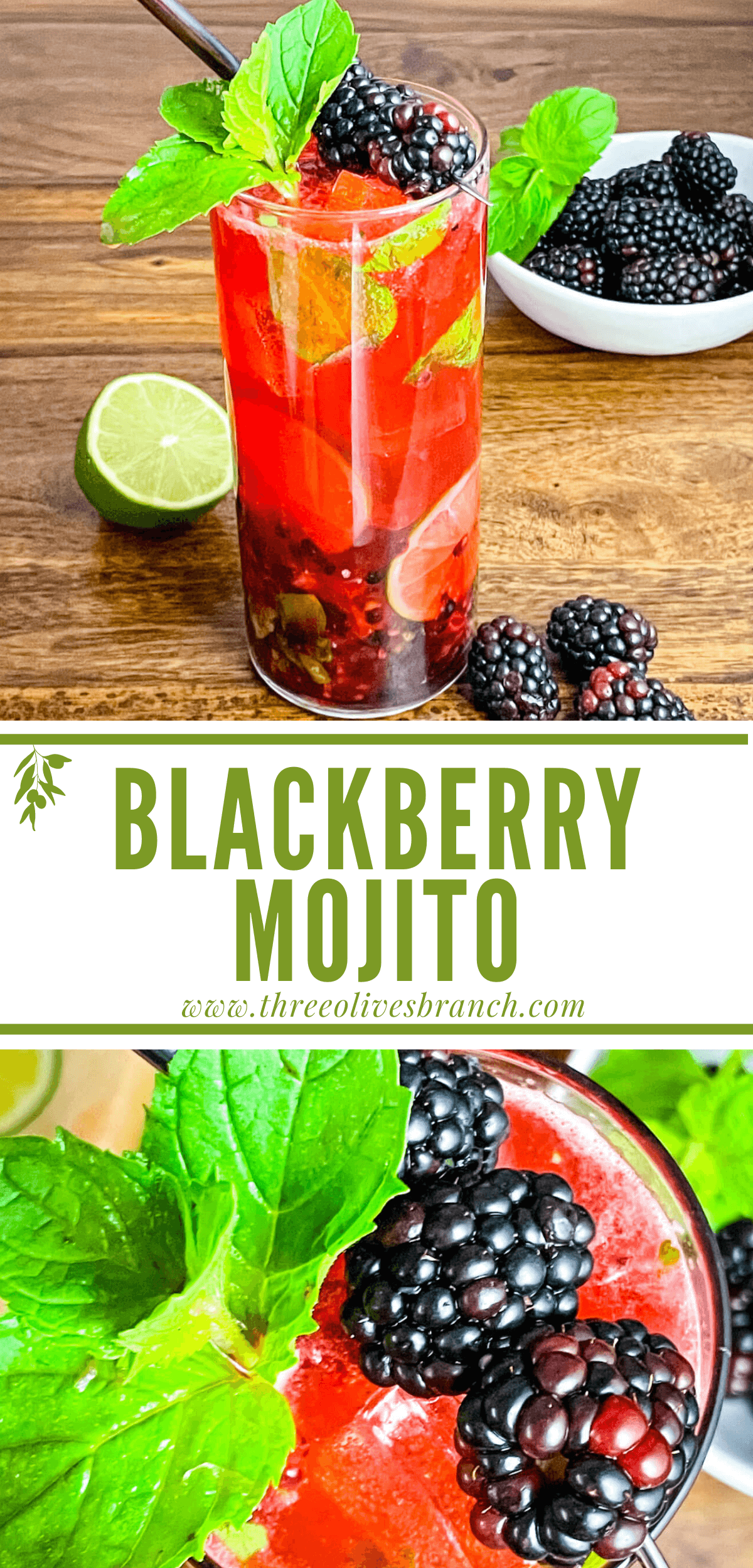 Blackberry Mojito - Three Olives Branch