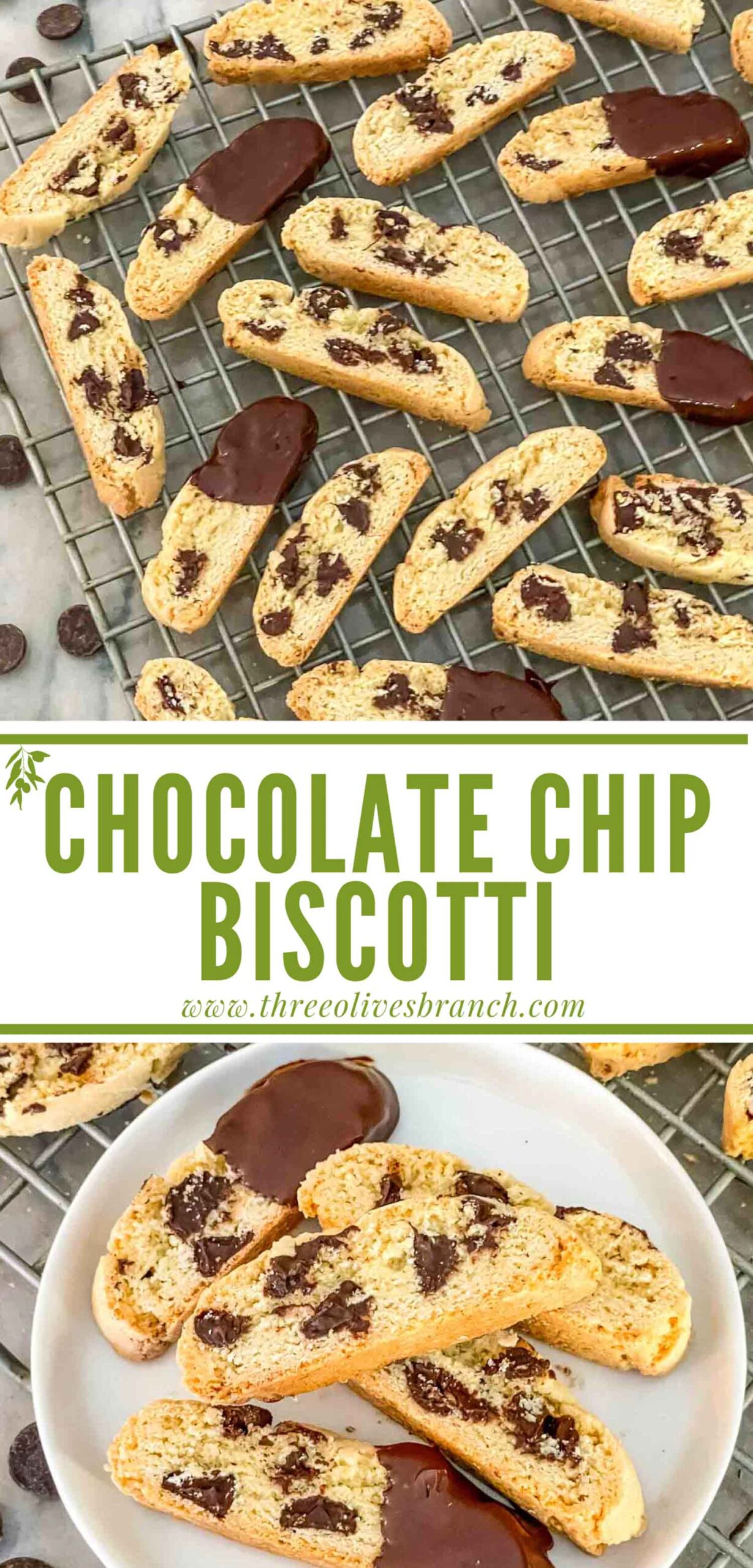 Chocolate Chip Biscotti - Three Olives Branch