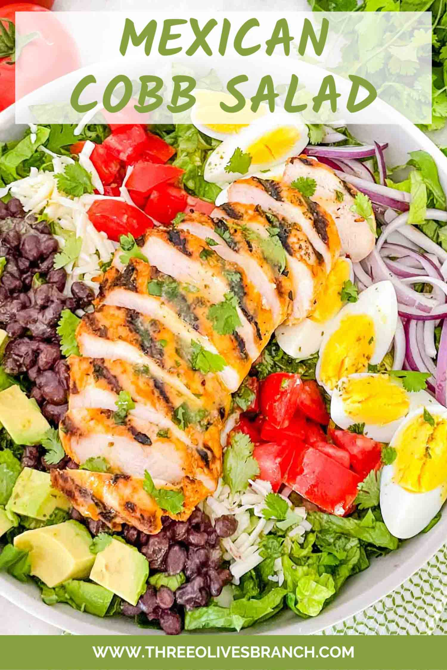 Mexican Cobb Salad Three Olives Branch
