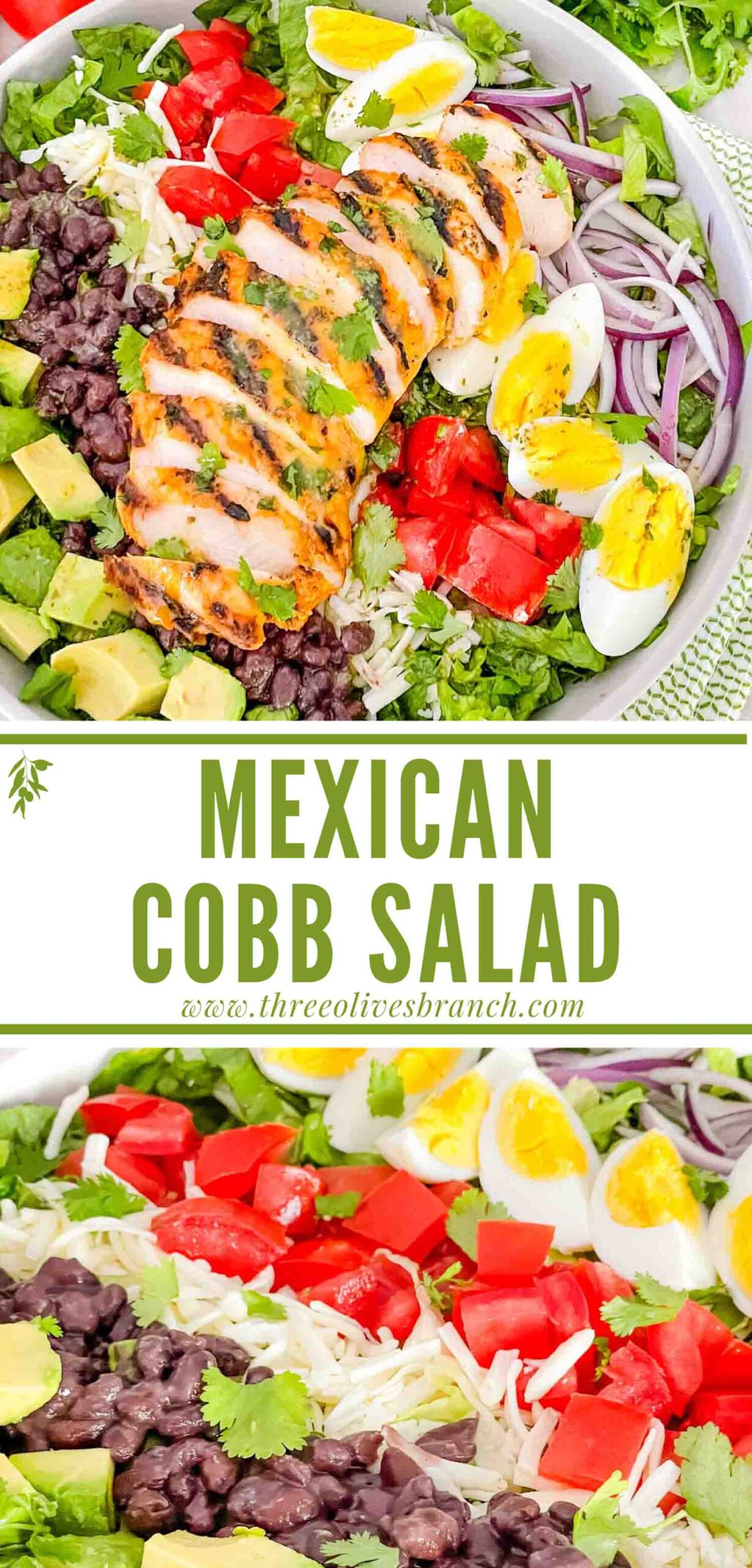 Mexican Cobb Salad Three Olives Branch