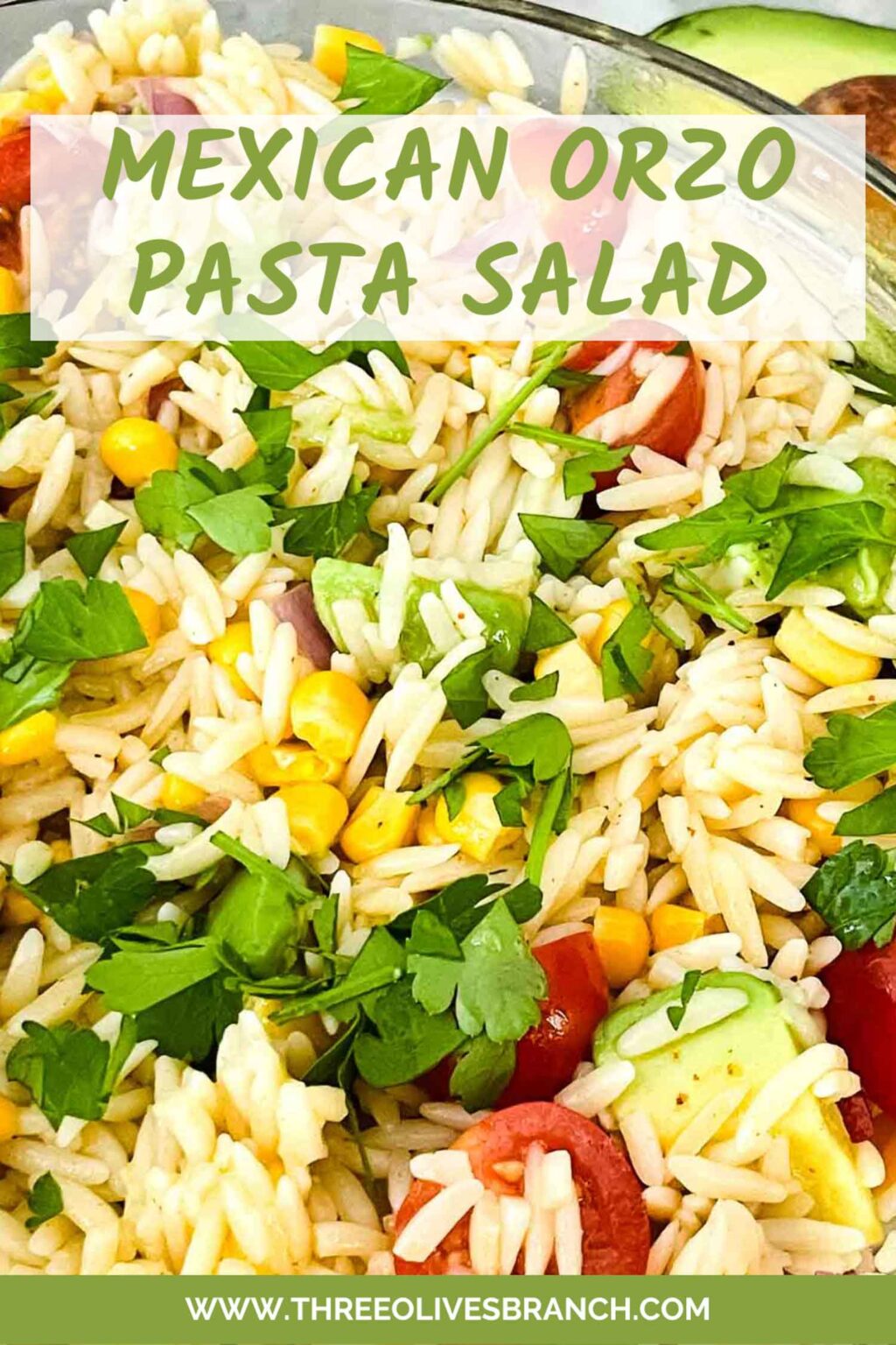 Mexican Orzo Pasta Salad - Three Olives Branch
