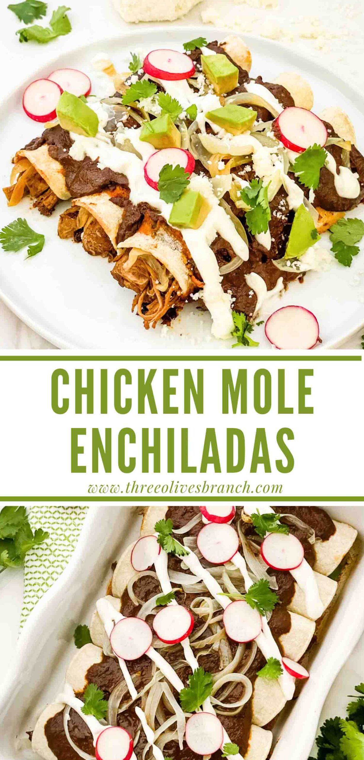Chicken Mole Enchiladas - Three Olives Branch