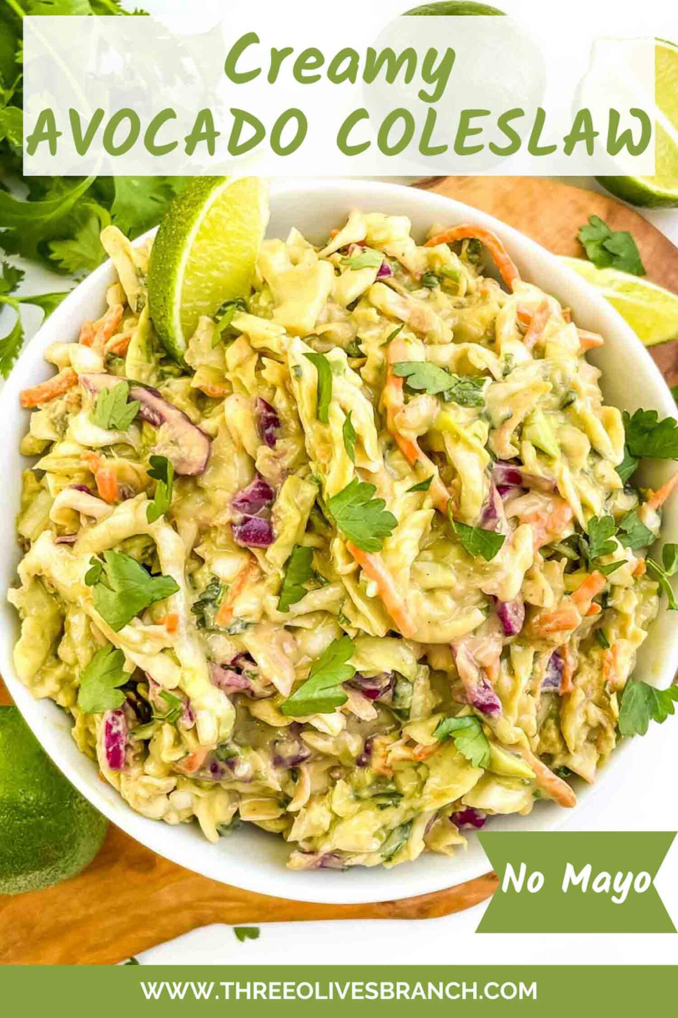 Creamy Avocado Coleslaw (without Mayo) - Three Olives Branch