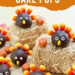 Thanksgiving Turkey Cake Pops - Three Olives Branch