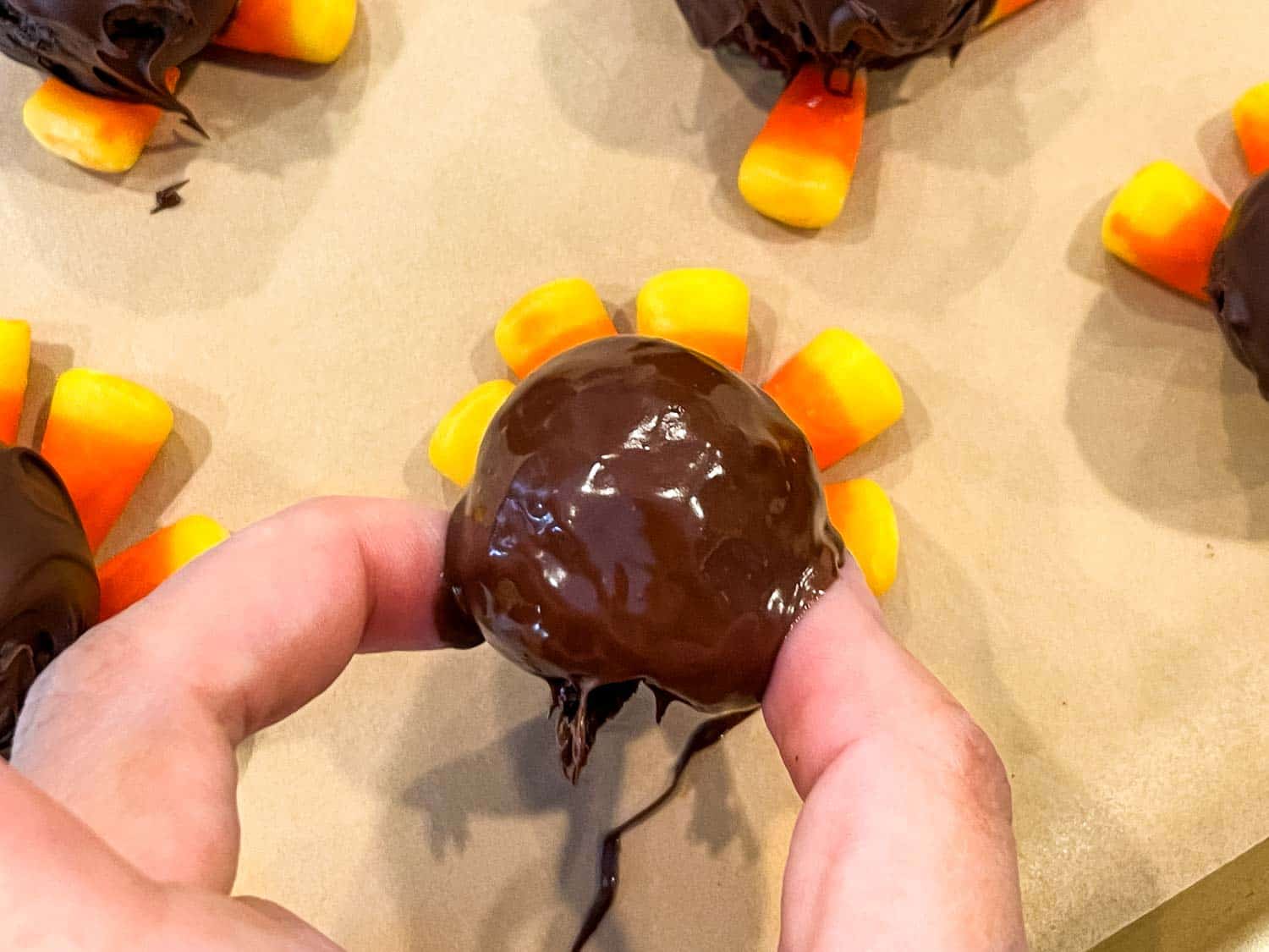 Thanksgiving Turkey Cake Pops - Three Olives Branch